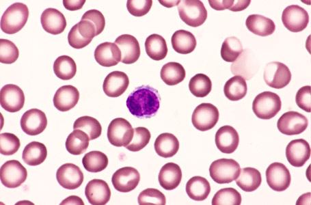 Cosmos Biomedical | Pathology Diagnostics